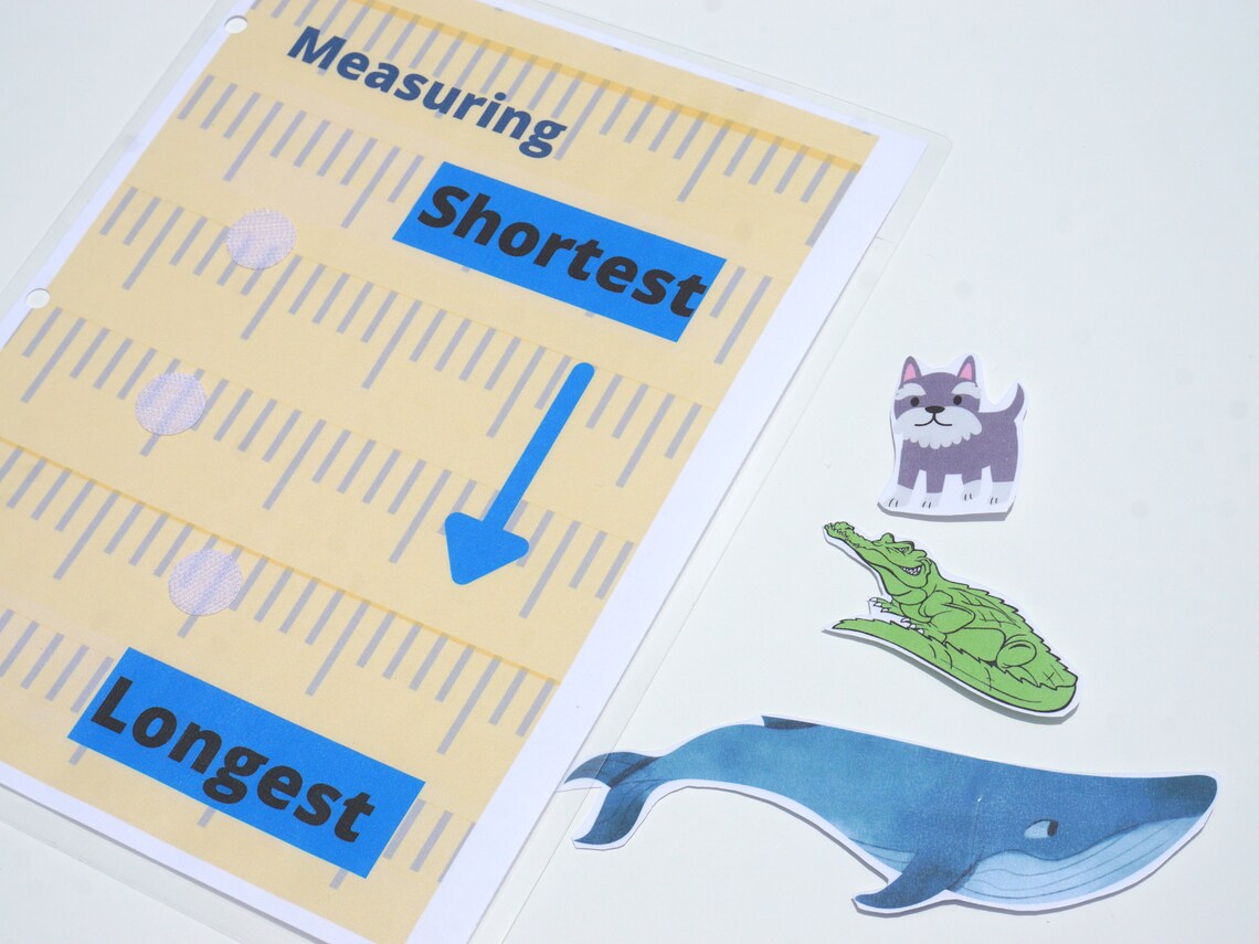 Pre-k Measurement Activity Printable for Busy Book | Preschool Science ...