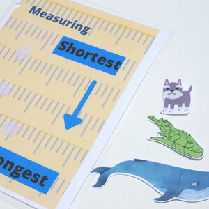 Pre-k Measurement Activity Printable for Busy Book | Preschool Science ...