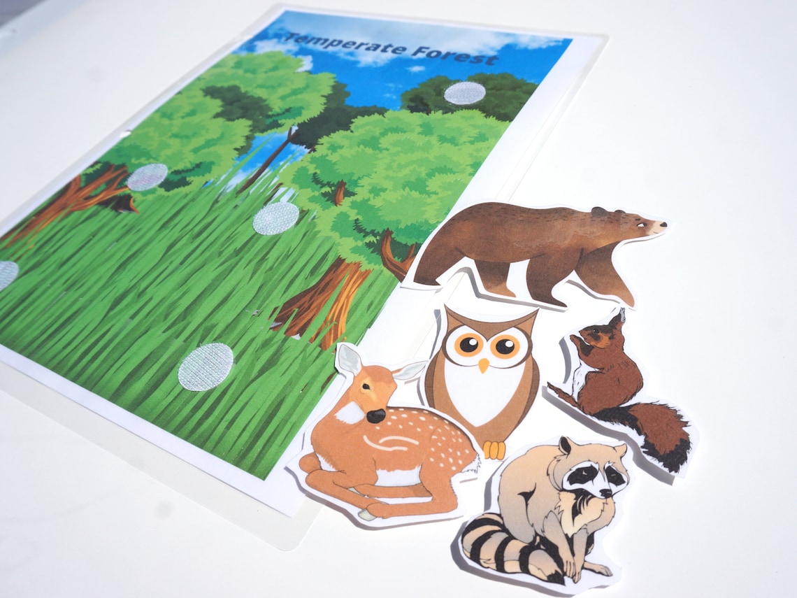Animal Biome Busy Book Printable Activity | Pre-k Science | Preschool ...