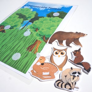 Animal Biome Busy Book Printable Activity | Pre-k Science | Preschool ...