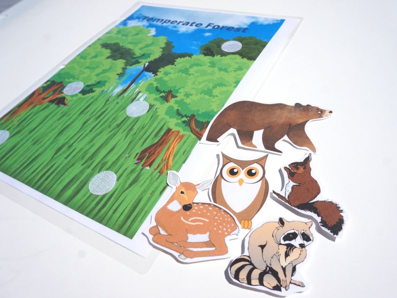 Animal Biome Busy Book Printable Activity | Pre-k Science | Preschool ...