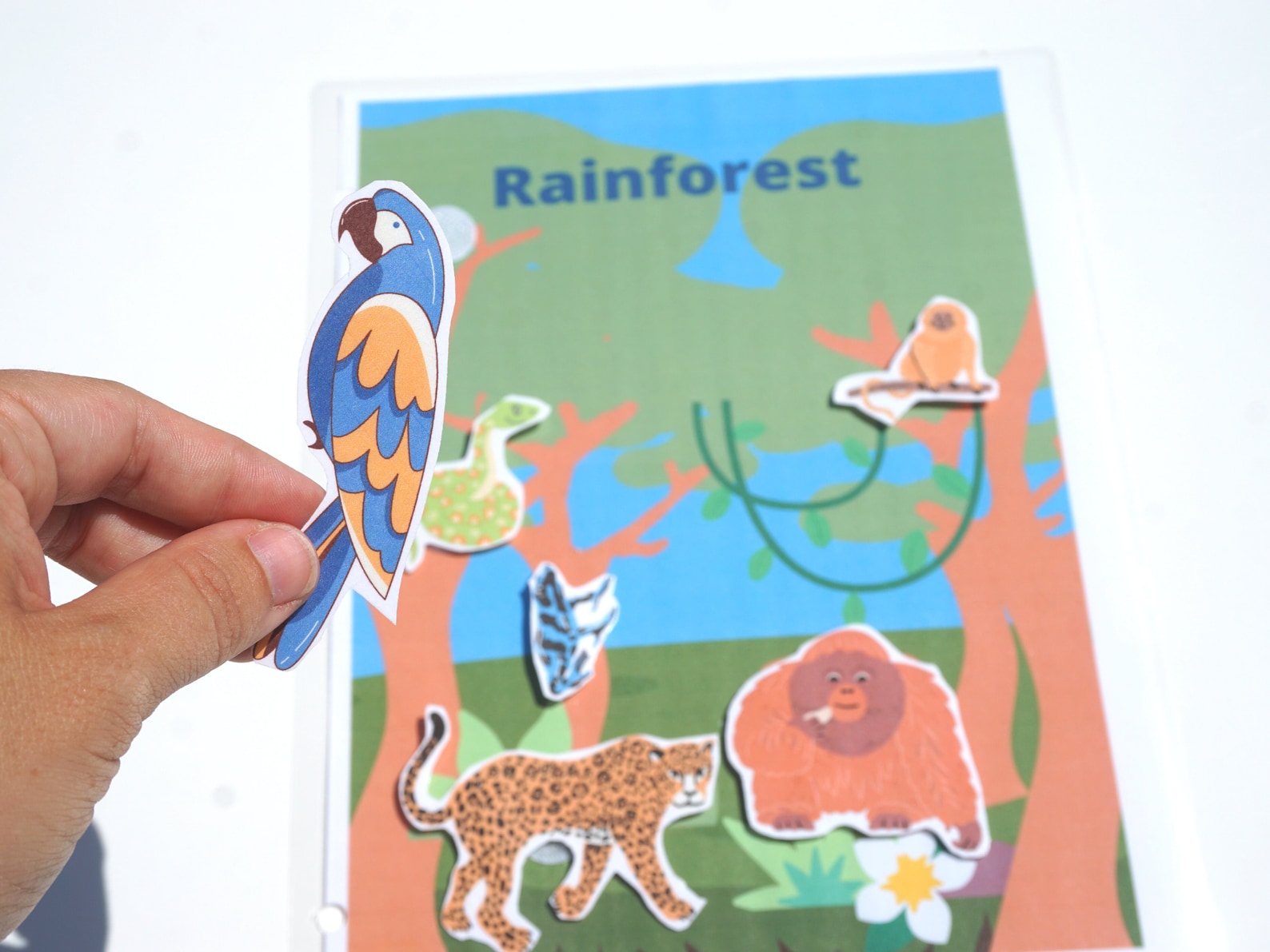 Animal Biome Busy Book Printable Activity | Pre-k Science | Preschool ...