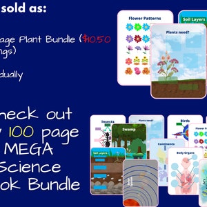 Plant Unit Study Printable BUNDLE for Preschool, Pre-k, Kindergarten ...