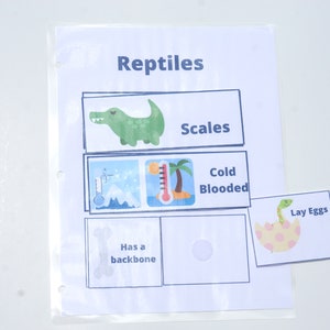 Pre-k Reptile Classification Printable Activity for Busy Book ...