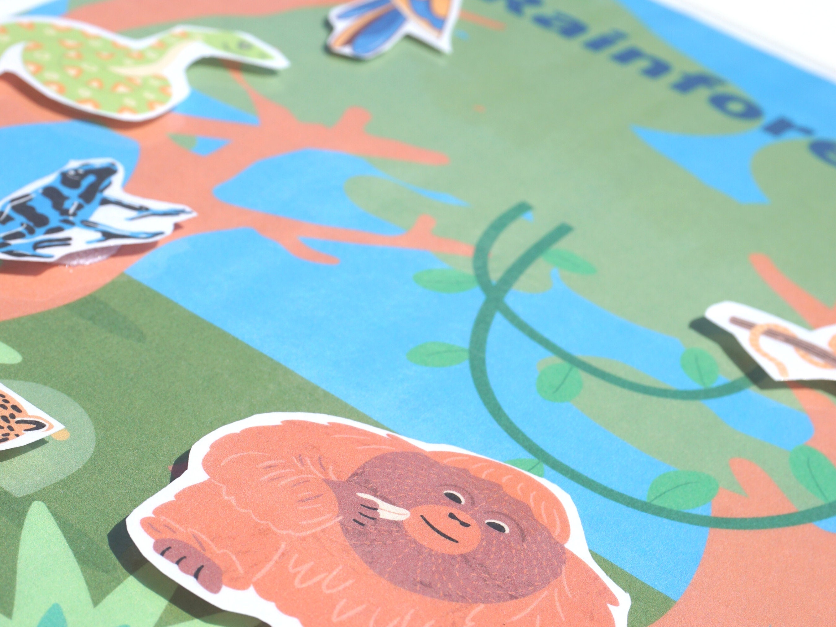 Rainforest Animals Habitat and Biome Printable Download Activity for ...