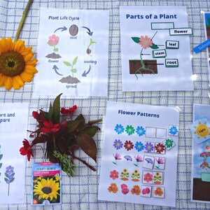 Plant Unit Study MEGA Bundle Printable Download | Garden Theme ...
