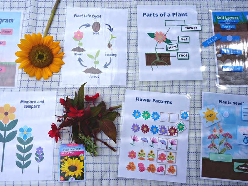 Plant Unit Study MEGA Bundle Printable Download | Garden Theme ...