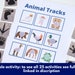Pre-k Animal Printable Busy Book Activity Bundle | Science, Biomes ...
