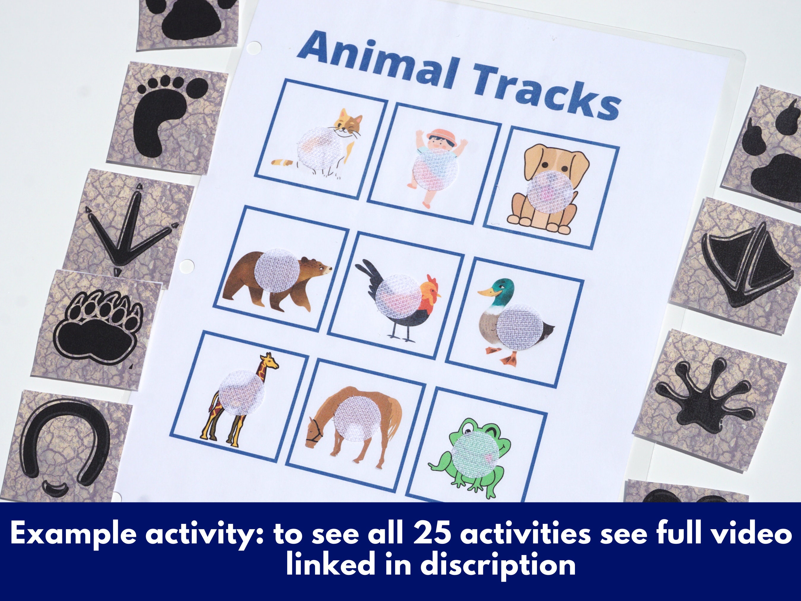 Pre-k Animal Printable Busy Book Activity Bundle | Science, Biomes ...
