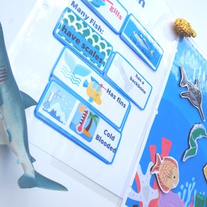 Pre-k Fish Printable Activities for Busy Book | Fish Unit | What is a ...