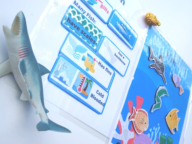 Pre-k Fish Printable Activities for Busy Book | Fish Unit | What is a ...