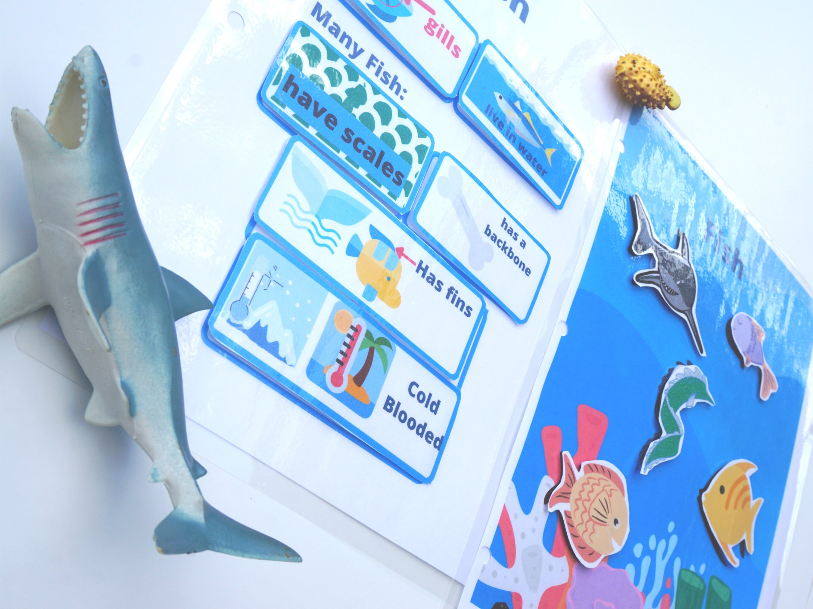 Pre-k Fish Printable Activities for Busy Book | Fish Unit | What is a ...