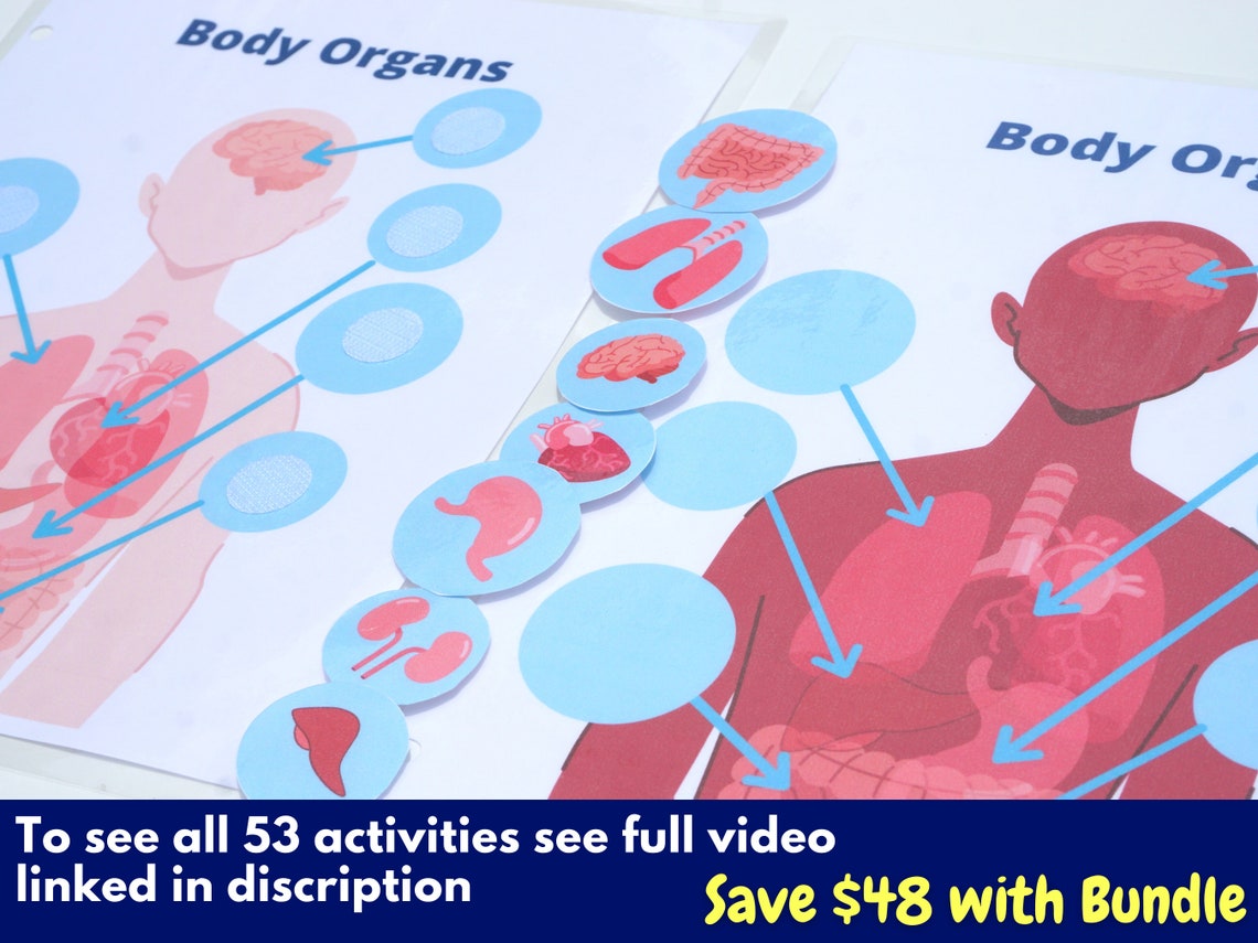 Pre-k SCIENCE Busy Book Curriculum Science Unit Study Printable BUNDLE ...