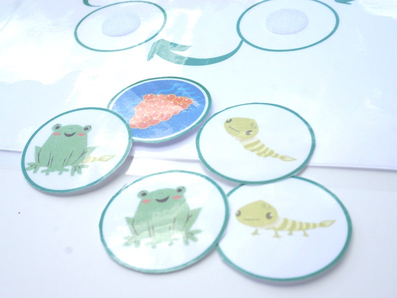 Amphibian Activities for Printable Preschool Busy Book | Animal ...