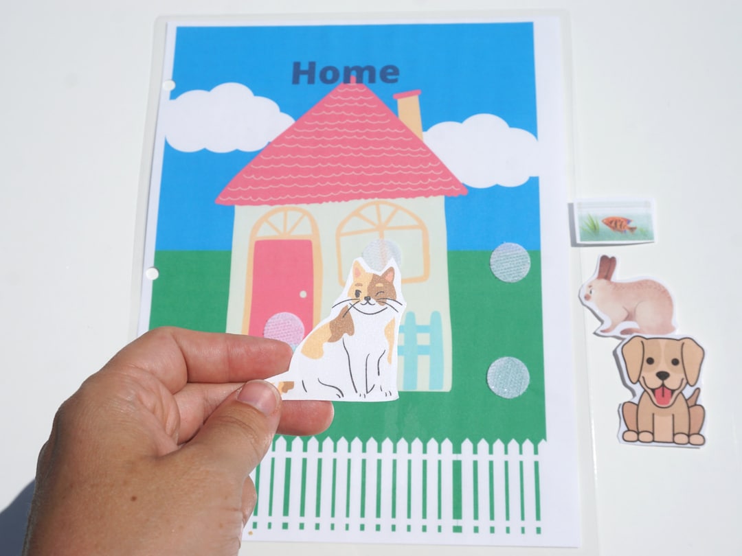 Pets Printable Download for Busy Book Activity | Domestic Animals Page ...
