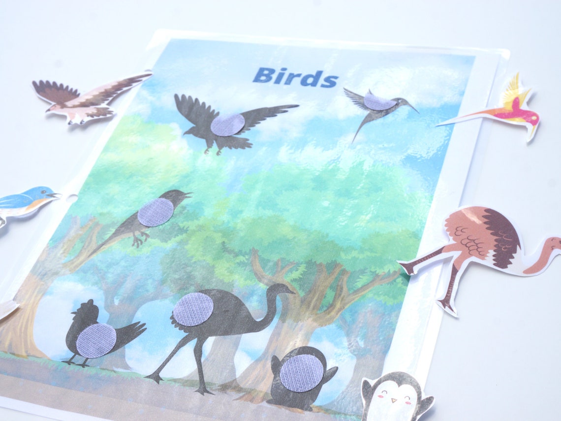 Bird Activity Printable Bundle for Preschool Busy Book Pre-k Science ...