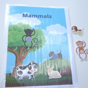 Mammal Classification Activity for Printable Busy Book | Animal ...