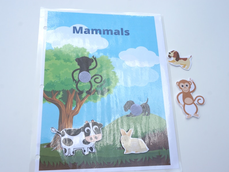 Mammal Classification Activity for Printable Busy Book | Animal ...