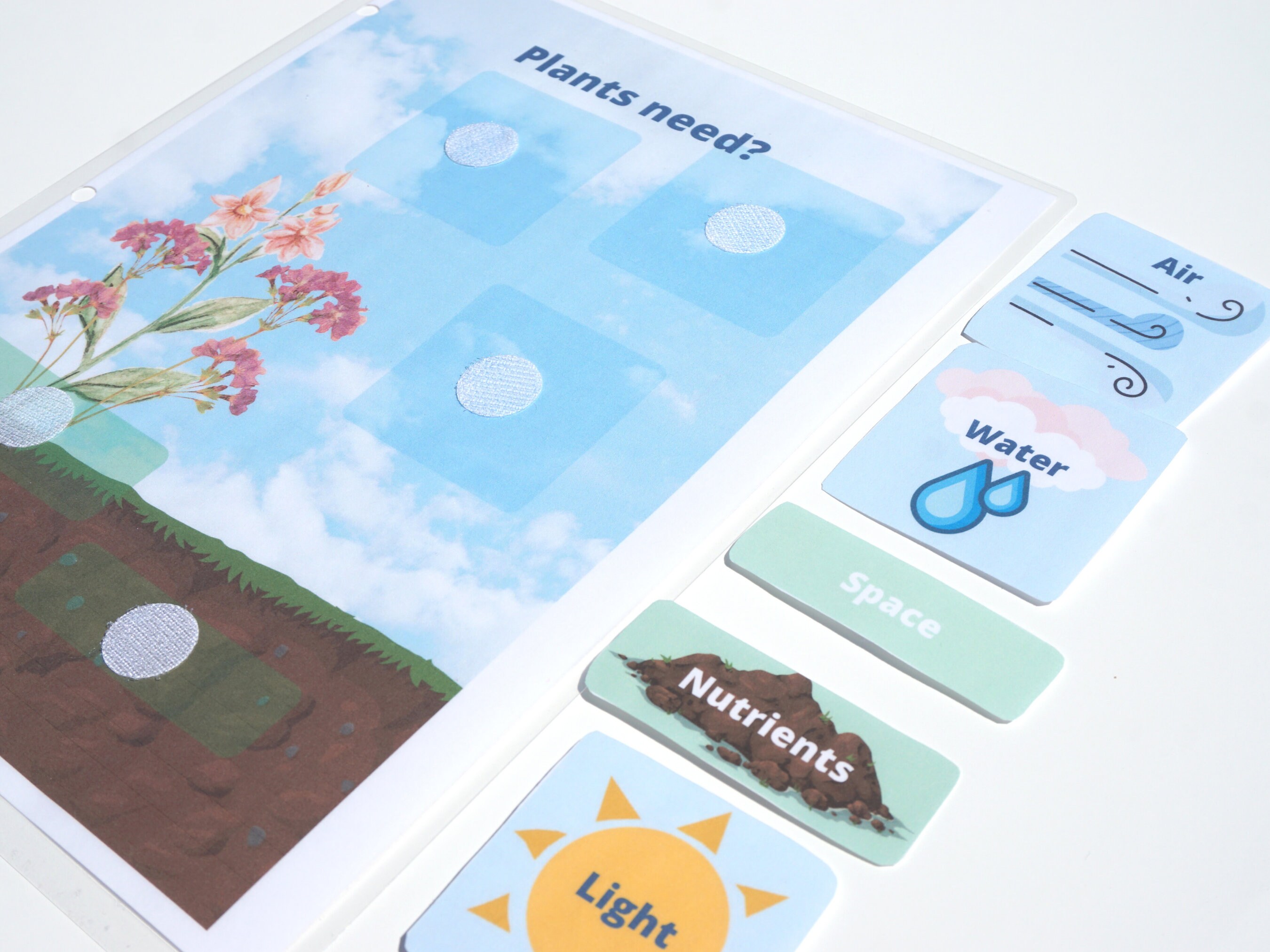 What Plants Need Printable Activity for Pre-k Science Busy Book ...