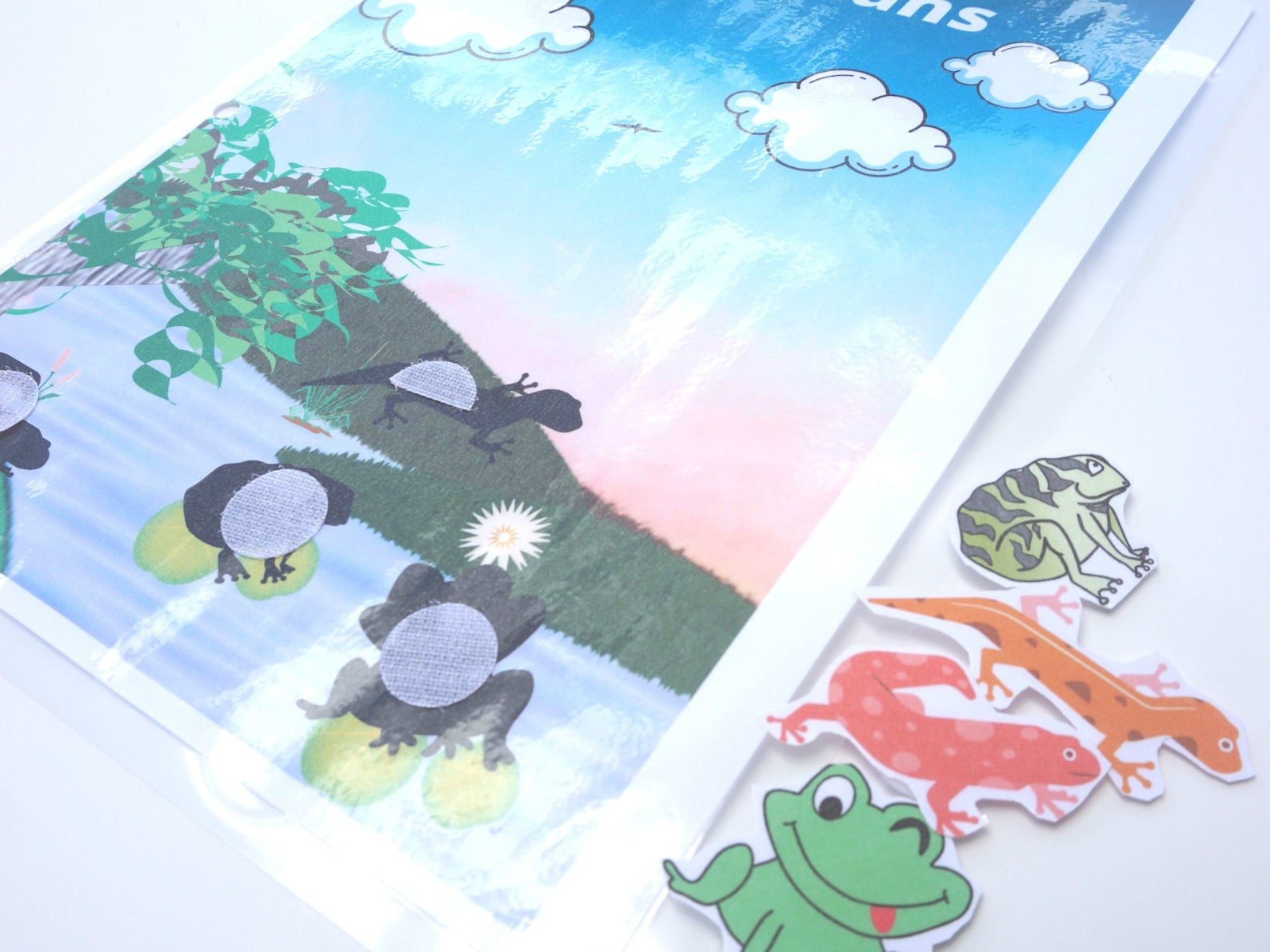 Amphibian Activities for Printable Preschool Busy Book | Animal ...