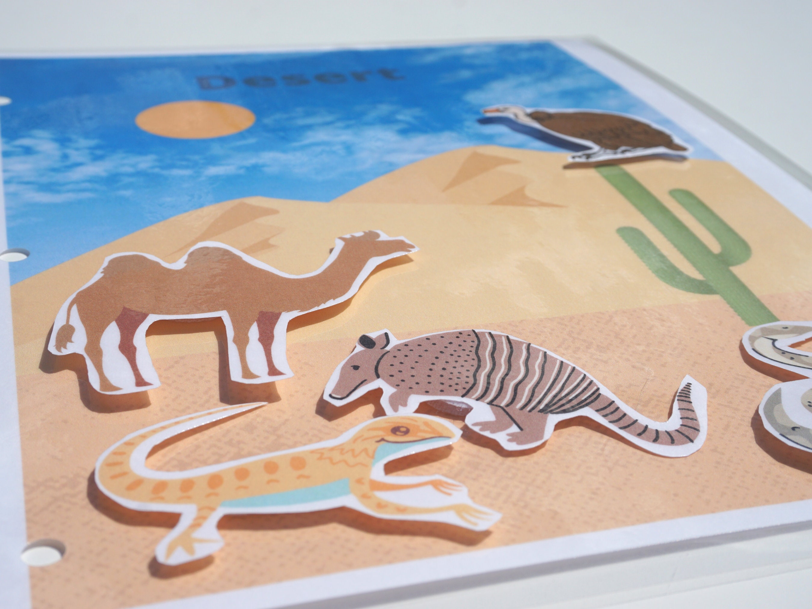 Desert Animal Habitat and Biome Printable Download Activity for Busy ...