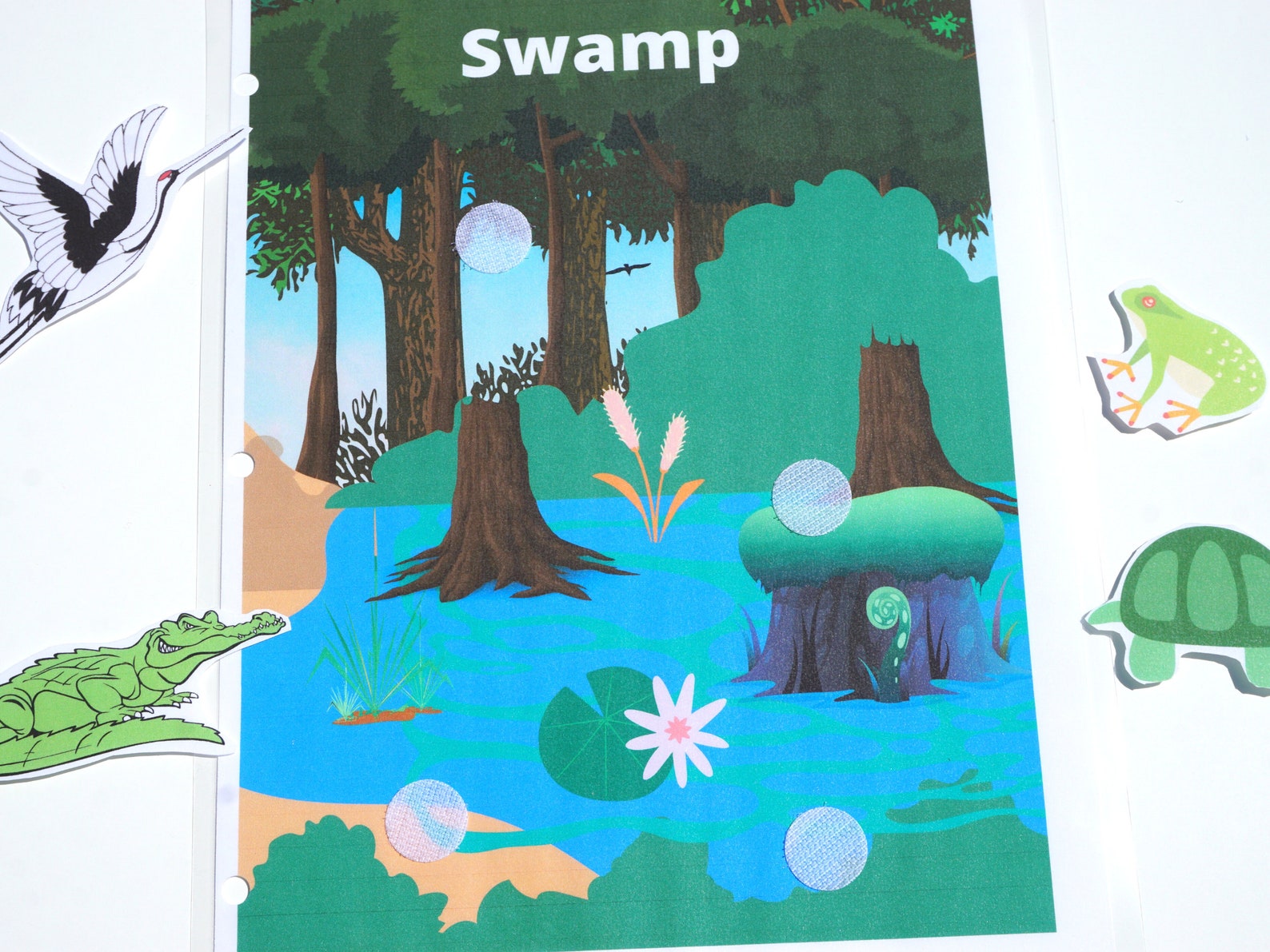 Animal Biome Busy Book Printable Activity | Pre-k Science | Preschool ...