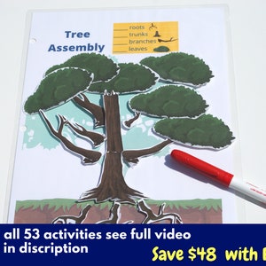 Pre-k SCIENCE Busy Book Curriculum Science Unit Study Printable BUNDLE ...