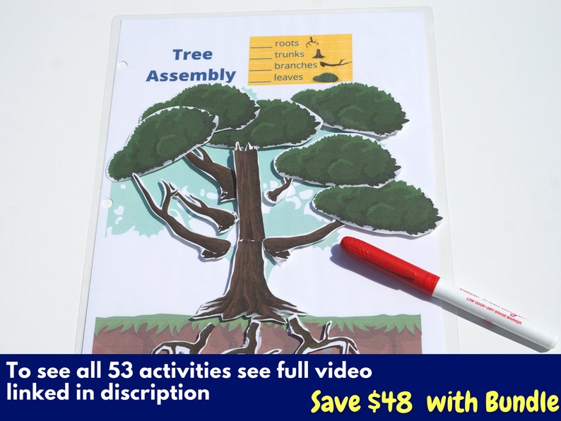 Pre-k SCIENCE Busy Book Curriculum Science Unit Study Printable BUNDLE ...