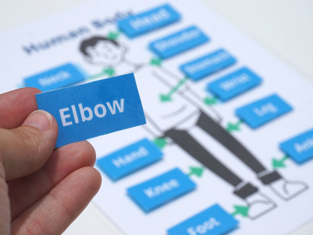 Human Anatomy Busy Book Printable Activity | Pre-k Science Homeschool ...