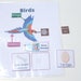Bird Activity Printable Bundle for Preschool Busy Book | Pre-k Science ...