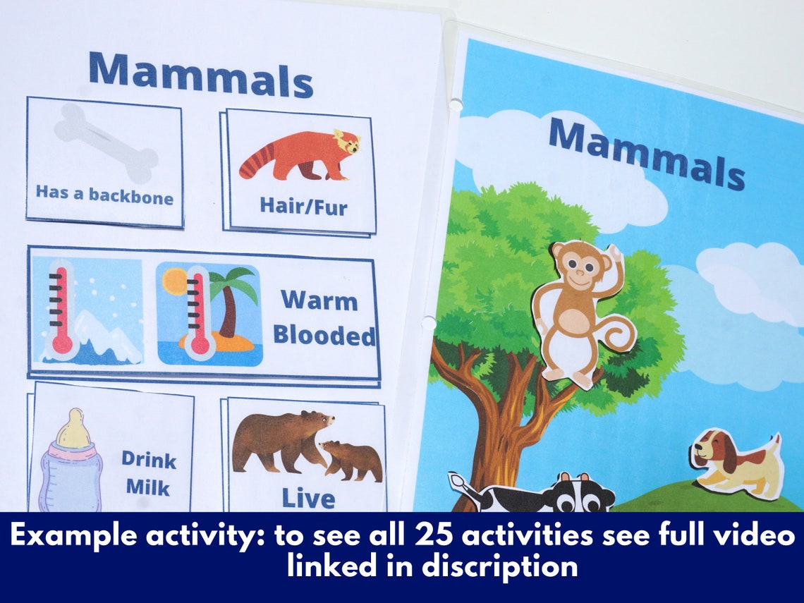 Pre-k Animal Busy Book Printable Activity | Animal Classifications ...
