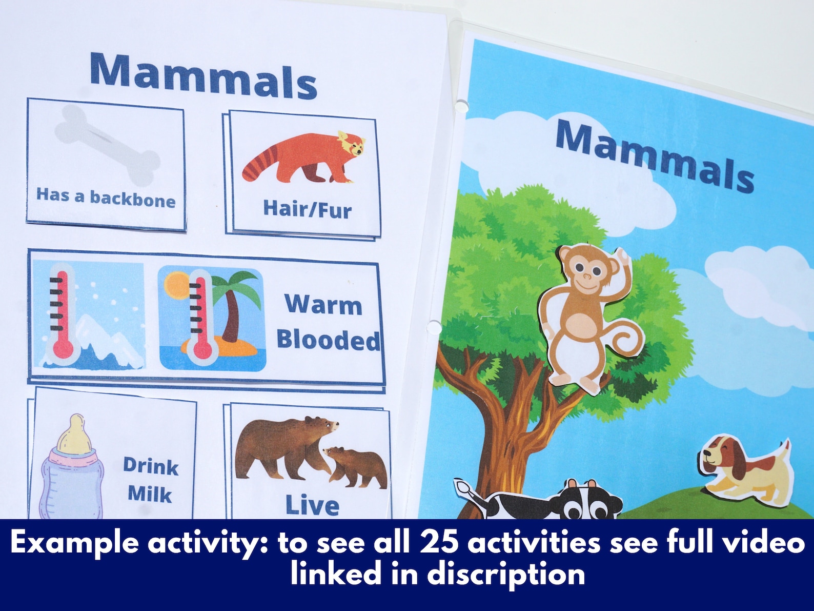 Pre-k Animal Busy Book Printable Activity | Animal Classifications ...