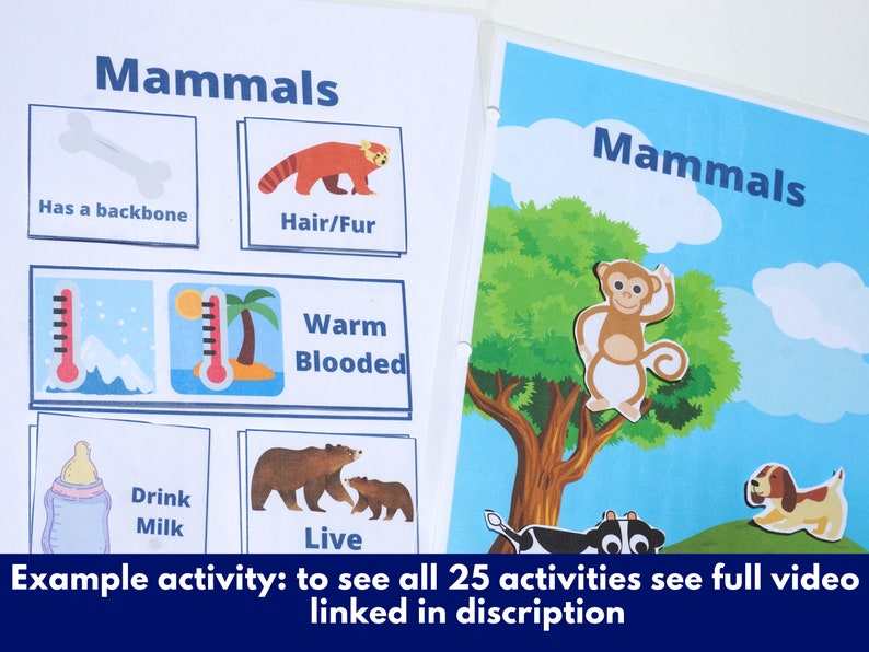 Pre-k Animal Busy Book Printable Activity | Animal Classifications ...