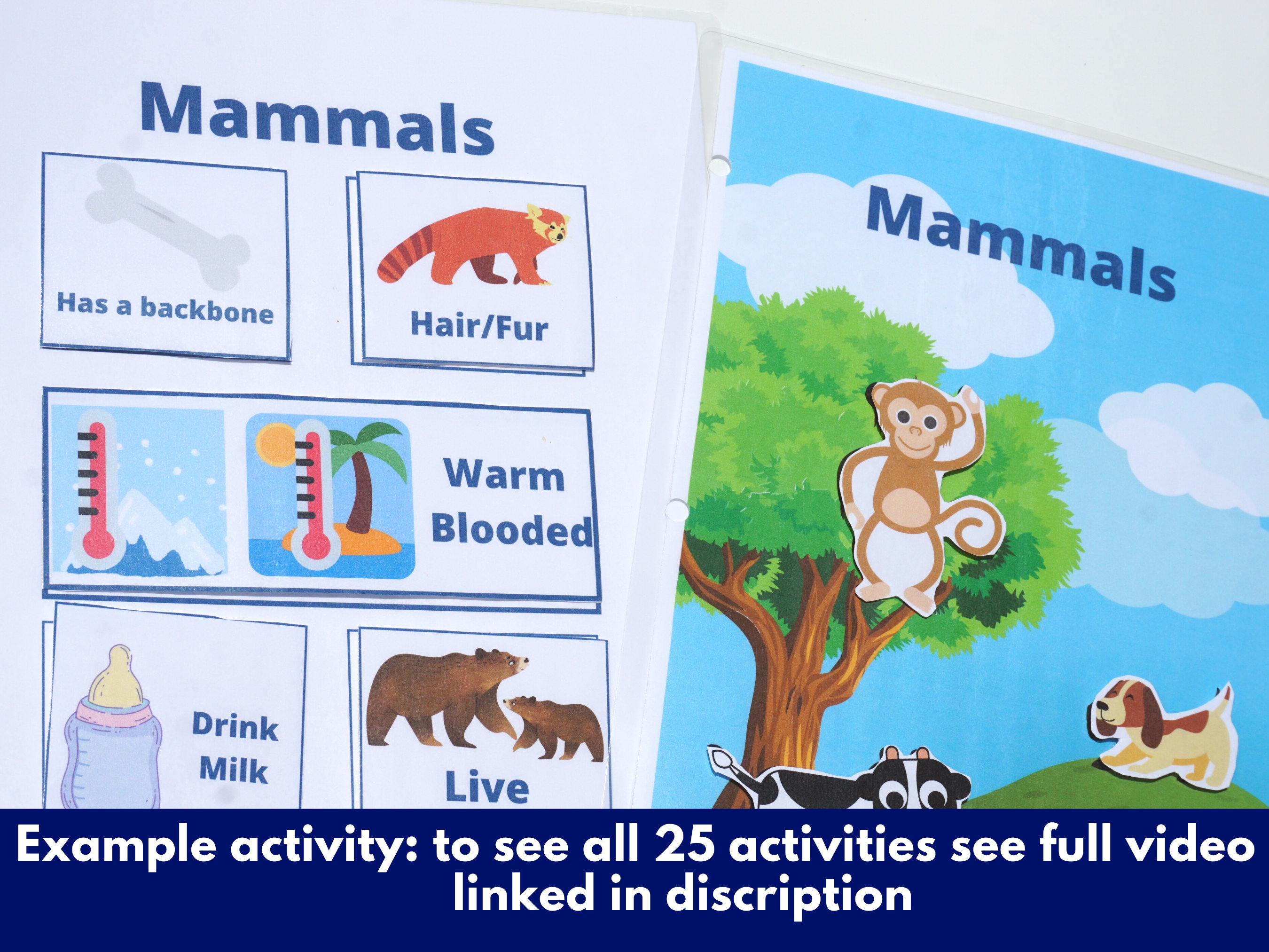 Pre-k Animal Busy Book Printable Activity | Animal Classifications ...
