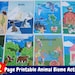 Animal Biome Busy Book Printable Activity | Pre-k Science | Preschool ...