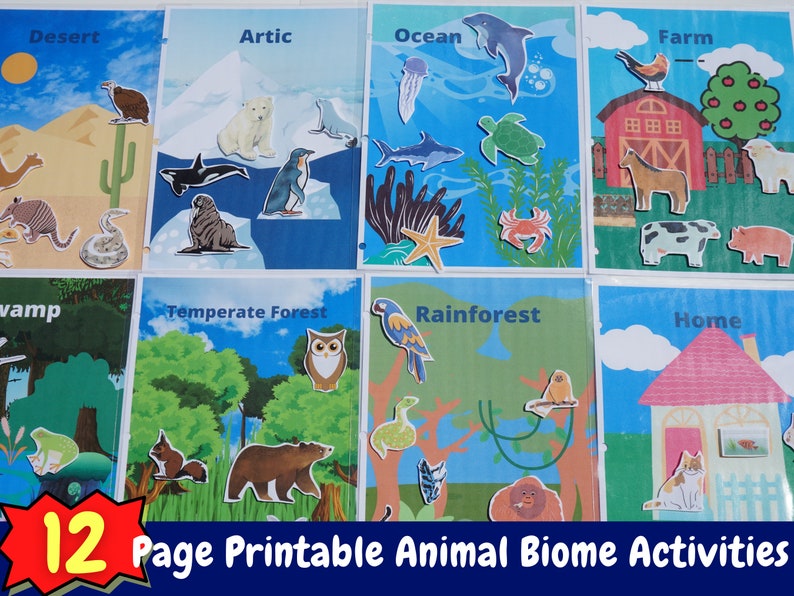 Animal Biome Busy Book Printable Activity | Pre-k Science | Preschool ...