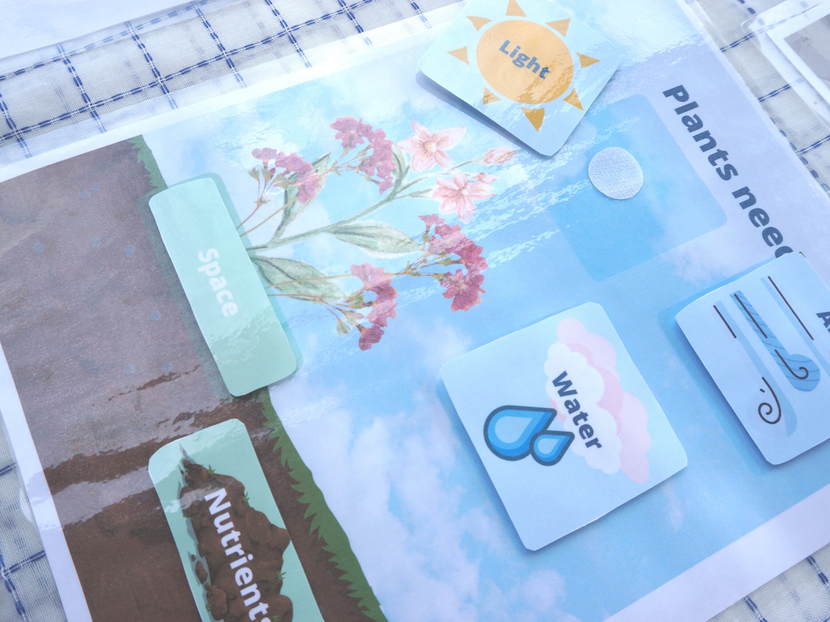 What Plants Need Printable Activity for Pre-k Science Busy Book Nature ...