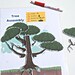 Pre-k Plant Busy Book Printable Activity Bundle Plant Unit for ...