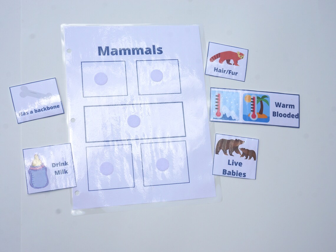 Mammal Classification Activity for Printable Busy Book | Animal ...