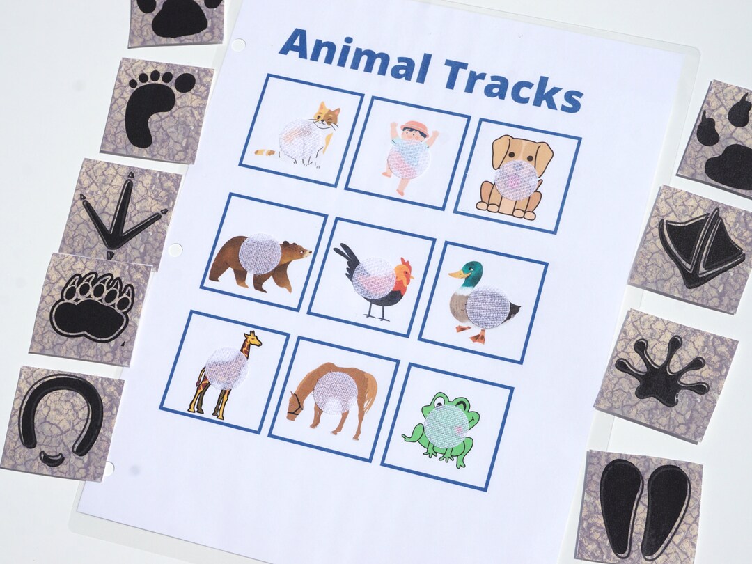 Animal Tracks Printable Activity for Busy Book | Pre-k Science Learning ...