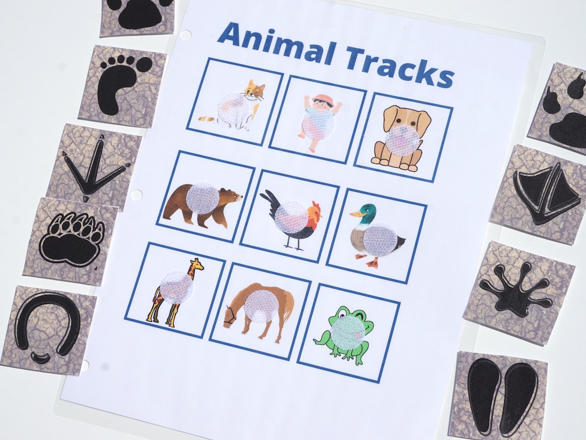 Animal Tracks Printable Activity for Busy Book | Pre-k Science Learning ...