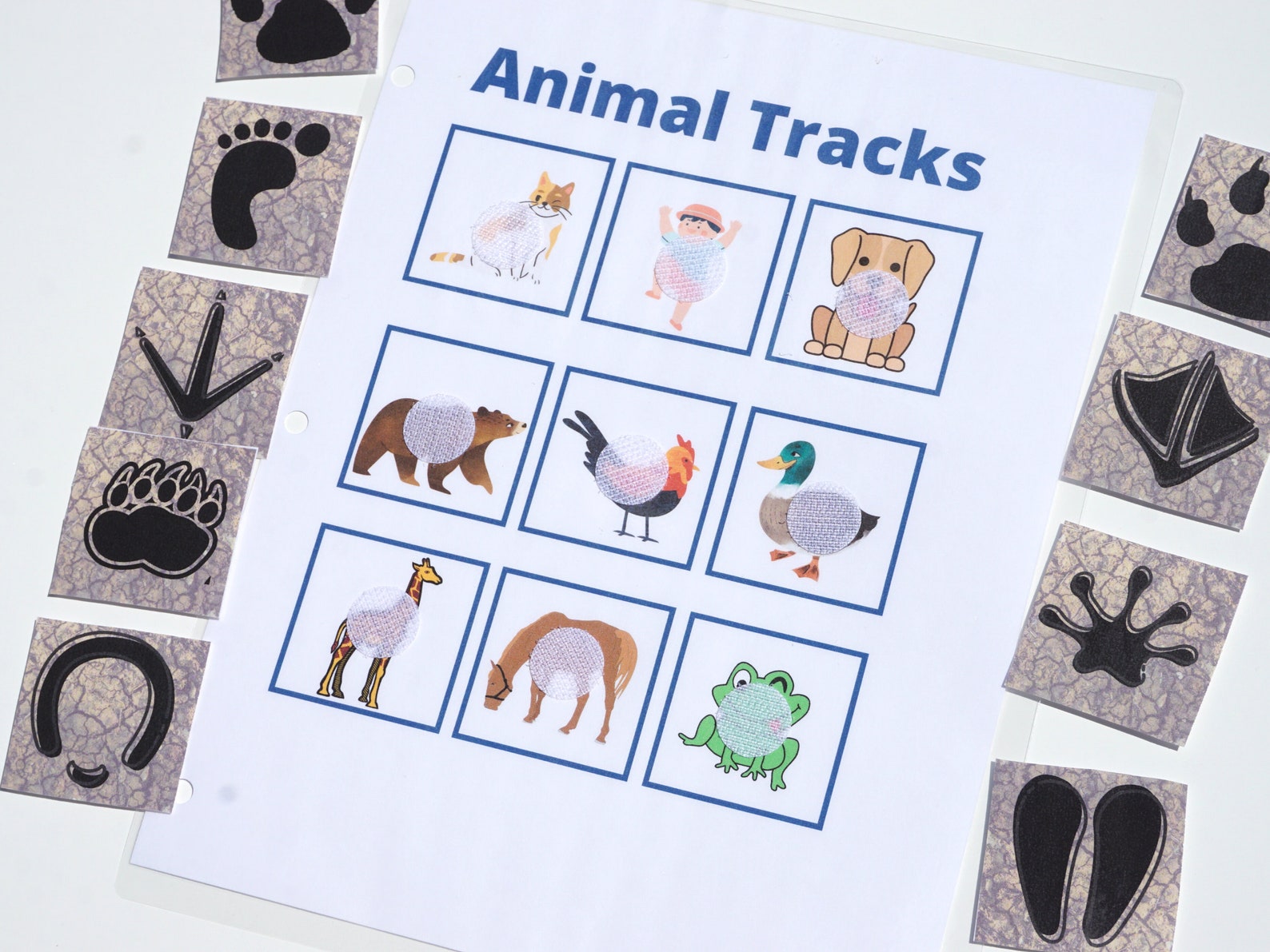 Animal Tracks Printable Activity for Busy Book | Pre-k Science Learning ...