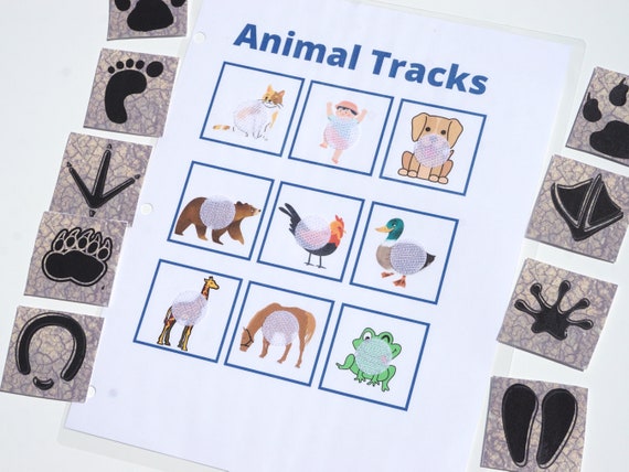 Animal Tracks Printable Activity for Busy Book Pre-k Science - Etsy