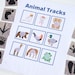 Animal Tracks Printable Activity for Busy Book | Pre-k Science Learning ...