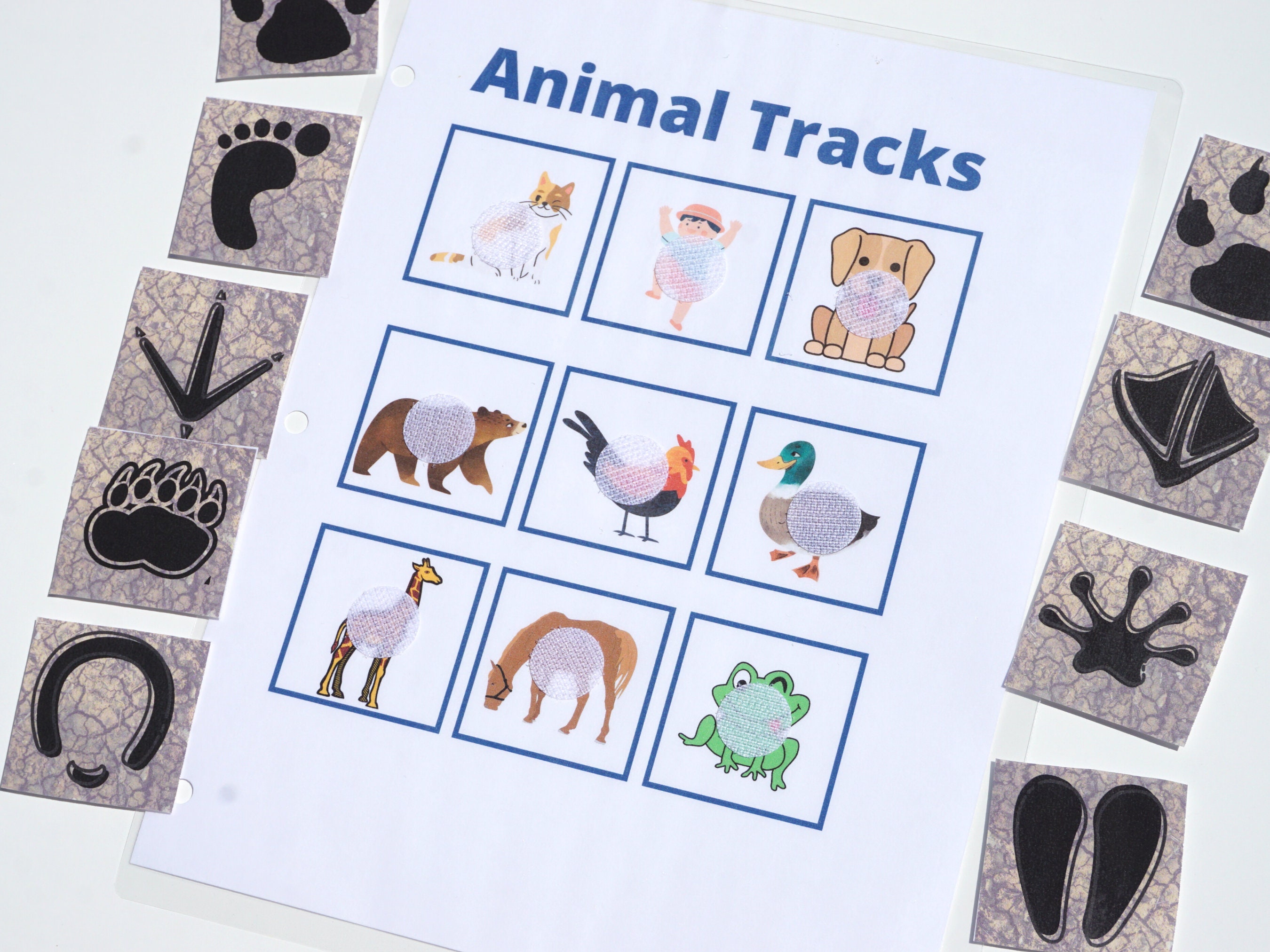Animal Tracks Printable Activity for Busy Book | Pre-k Science Learning ...