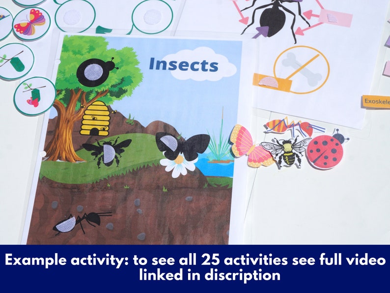 Pre-k Animal Busy Book Printable Activity | Animal Classifications ...