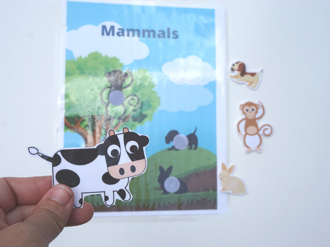 Mammal Classification Activity for Printable Busy Book | Animal ...