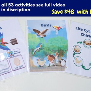 Pre-k SCIENCE Busy Book Curriculum Science Unit Study Printable BUNDLE ...