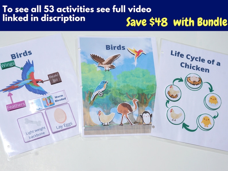 Pre-k SCIENCE Busy Book Curriculum Science Unit Study Printable BUNDLE ...