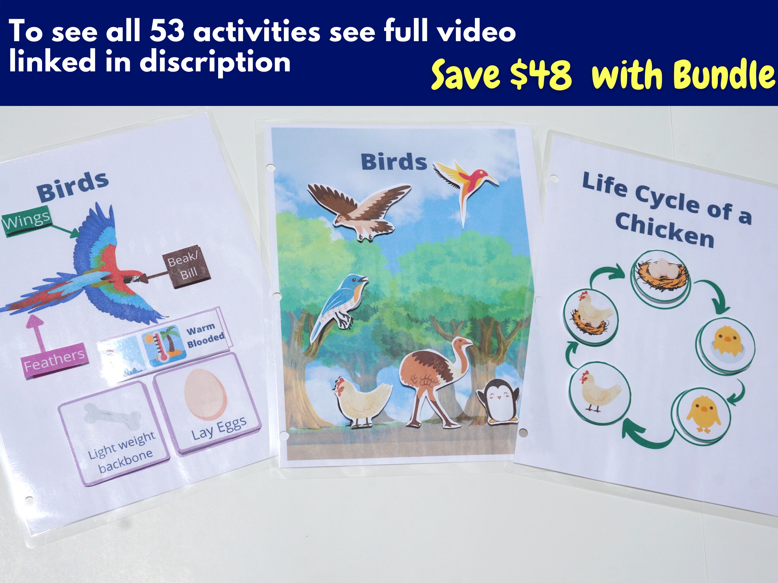 Pre-k SCIENCE Busy Book Curriculum Science Unit Study Printable BUNDLE ...